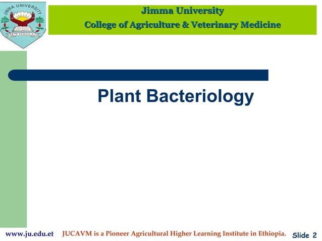 Plant Bacteriology.ppt | Biological Sciences | Science
