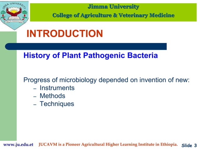 Plant Bacteriology.ppt | Biological Sciences | Science