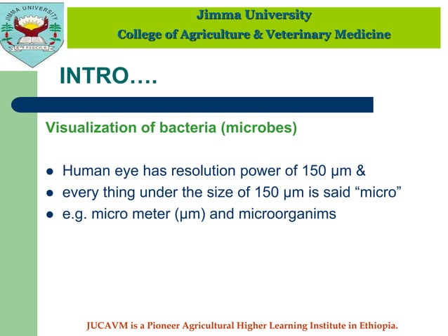 Plant Bacteriology.ppt | Biological Sciences | Science