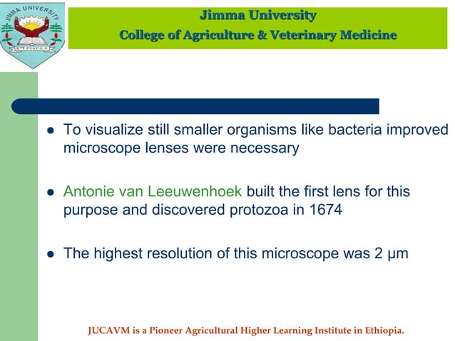 Plant Bacteriology.ppt | Biological Sciences | Science