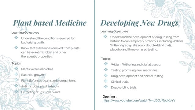 PLANT BASED MEDICINE.pptx