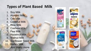 Plant Based Milk (Alternative to Dairy Milk) | PDF