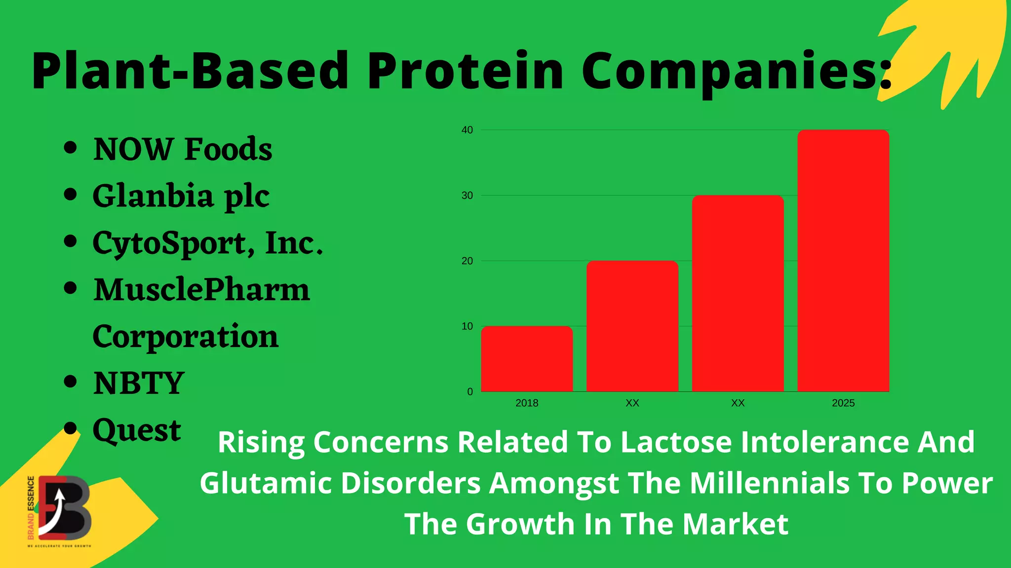 Plant Based Protein Market By BMRC 2020 | PDF