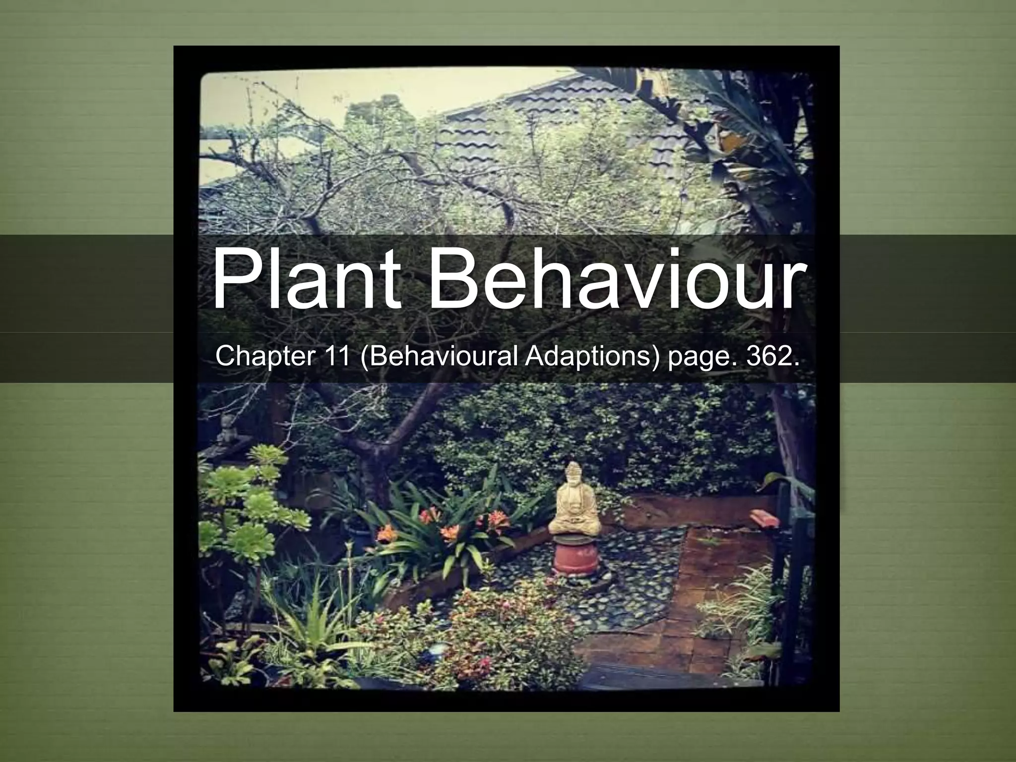 Biology: Plant Behaviour | PPTX