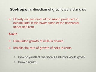 Biology: Plant Behaviour | PPTX