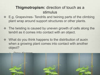 Biology: Plant Behaviour | PPTX
