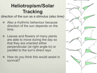 Biology: Plant Behaviour | PPTX