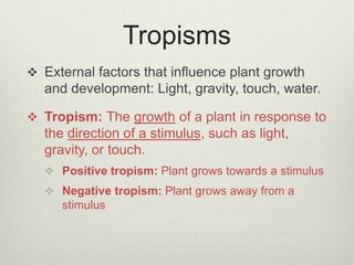Biology: Plant Behaviour | PPTX