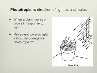 Biology: Plant Behaviour | PPTX