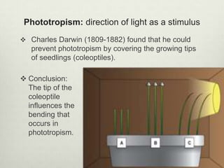 Biology: Plant Behaviour | PPTX