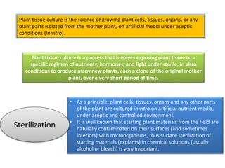 Plant bio 1 introduction to cell tissue culture | PPTX