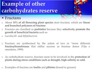 Plant biochemistry | PPTX