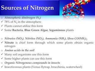Plant biochemistry | PPTX