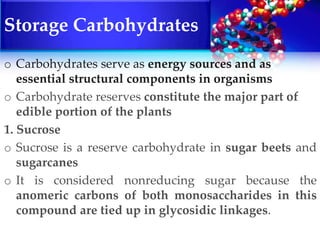 Plant biochemistry | PPTX