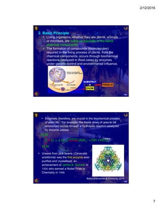 Plant Biochemistry.pdf