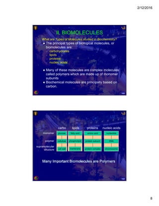 Plant Biochemistry.pdf