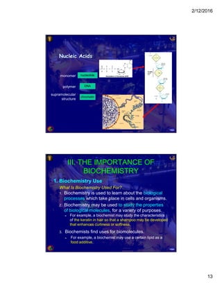Plant Biochemistry.pdf