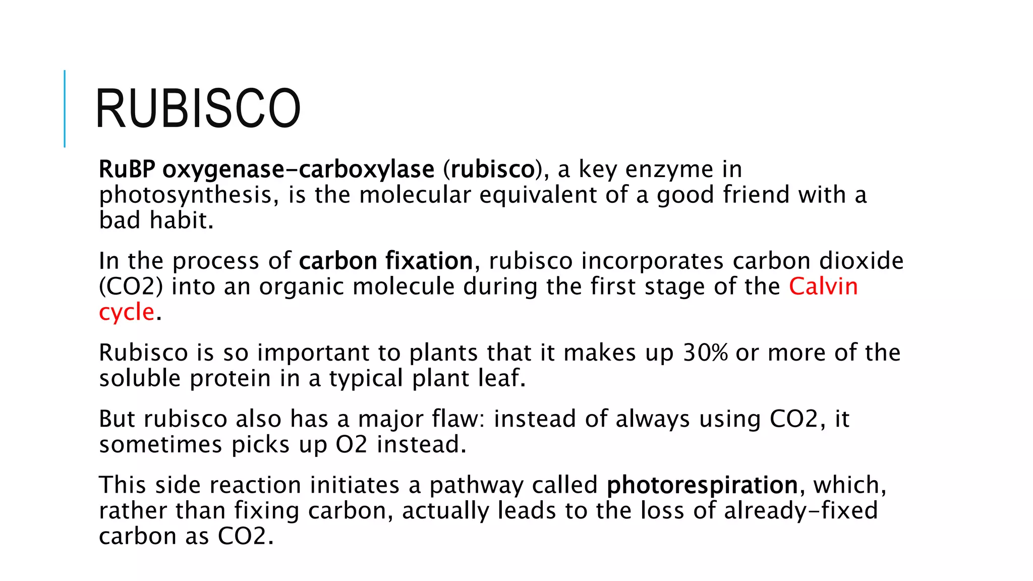 Photorespiration and its role in plants | PPTX