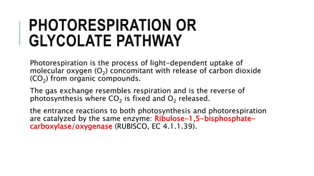 Photorespiration and its role in plants | PPTX | Chemistry | Science