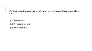 Photorespiration and its role in plants | PPTX