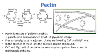 Plant biochemistry: cell wall, structure and composition | PPTX