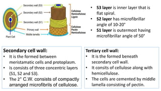 Plant biochemistry: cell wall, structure and composition | PPT