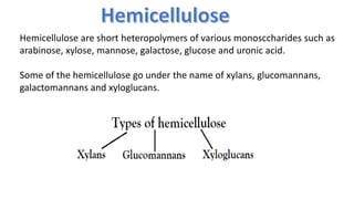 Plant biochemistry: cell wall, structure and composition | PPTX