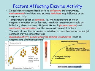plantbiochemlecture5-enzymesb.ppt
