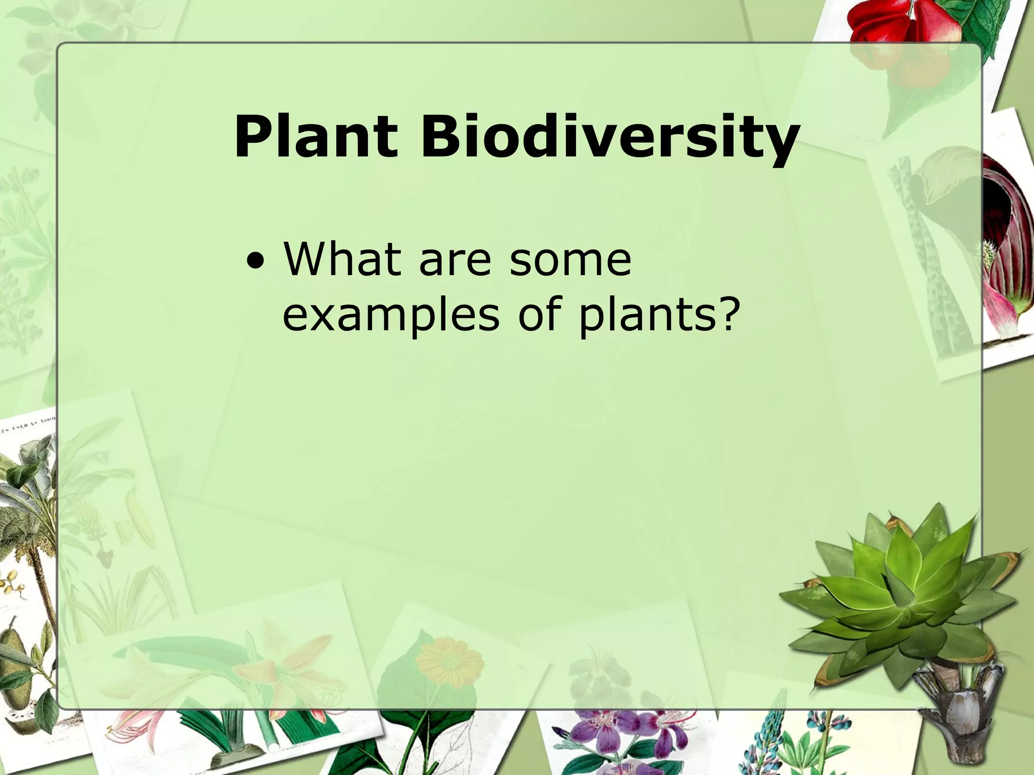 Plant biodiversity | PPT