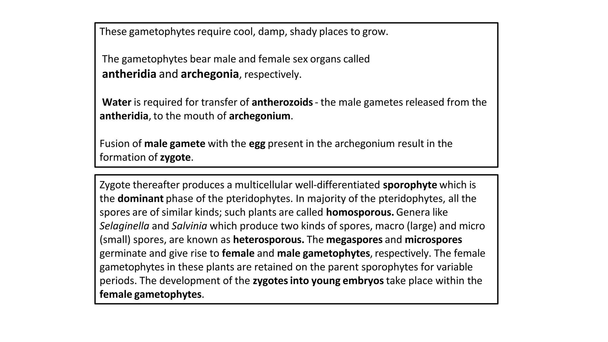 Plant Biodiversity classifications life cycles.pptx