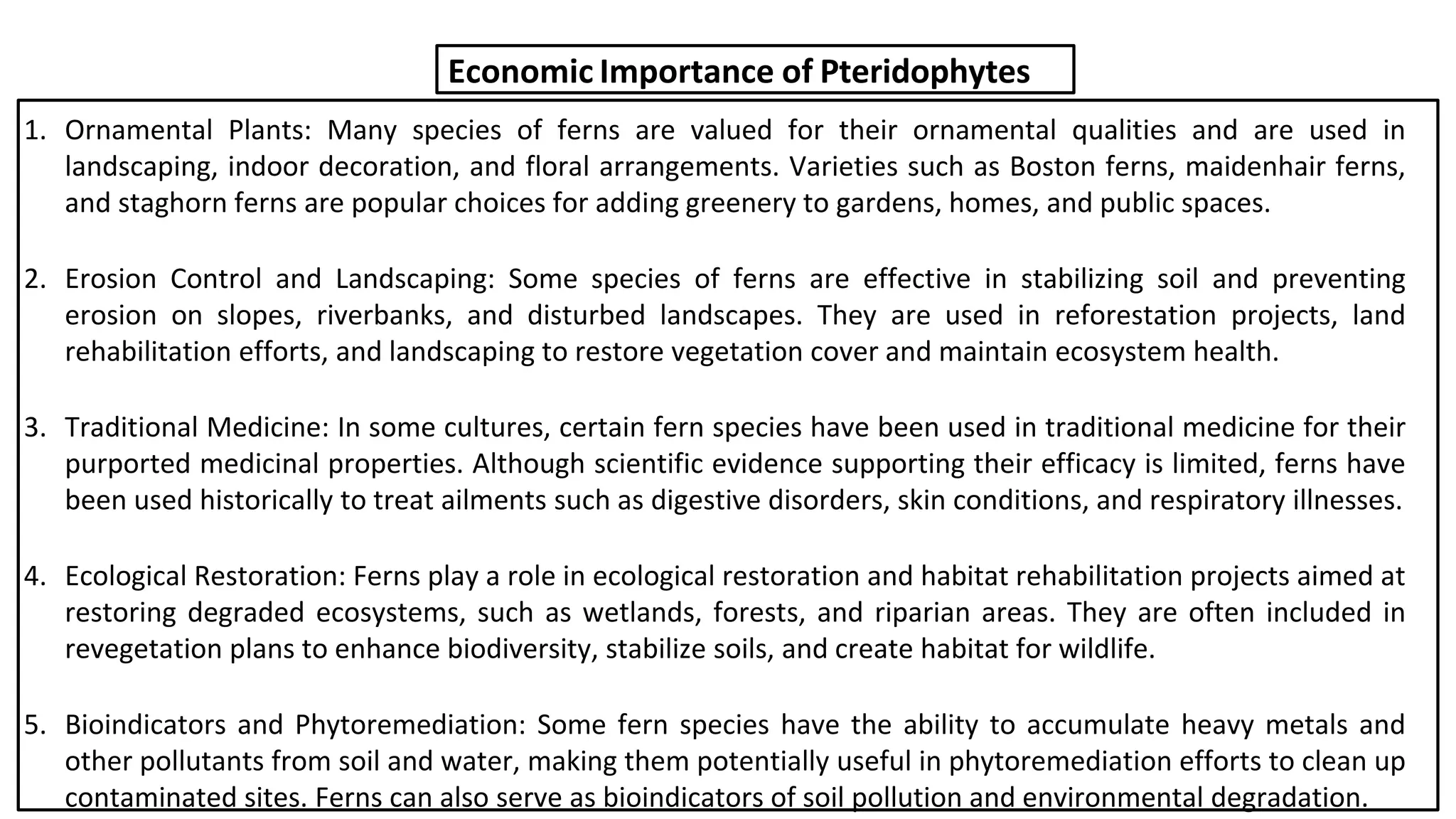 Plant Biodiversity classifications life cycles.pptx