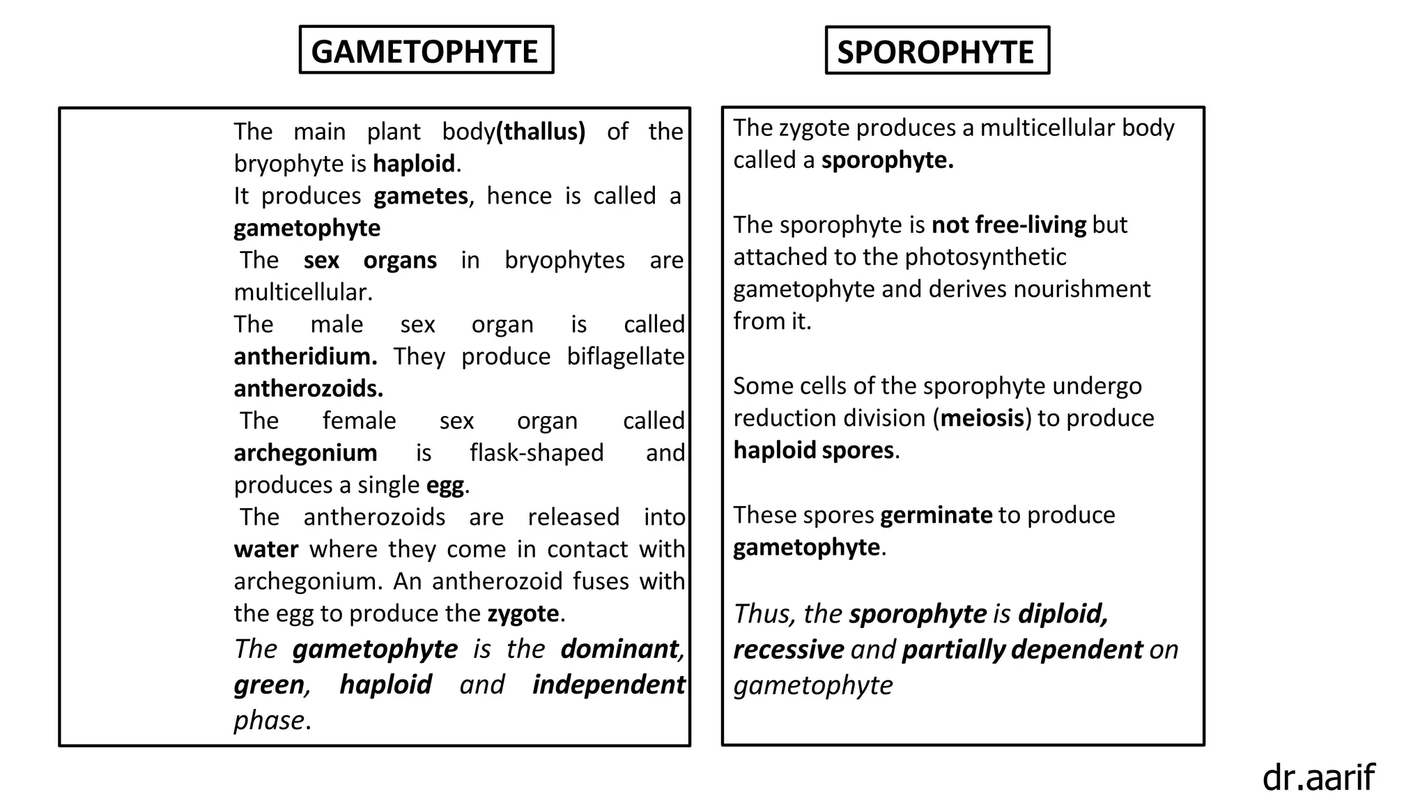 Plant Biodiversity classifications life cycles.pptx