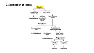 Plant Biodiversity classifications life cycles.pptx