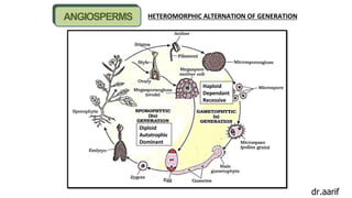 Plant Biodiversity classifications life cycles.pptx