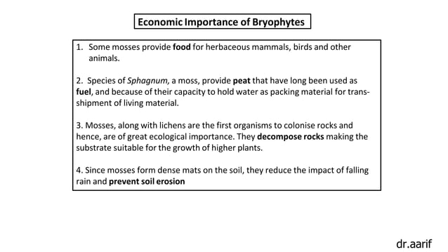 Plant Biodiversity classifications life cycles.pptx