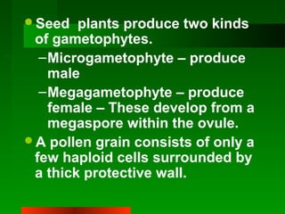 Plant biology | PPT