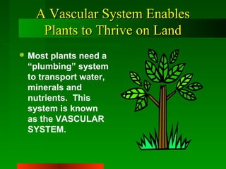Plant biology | PPT