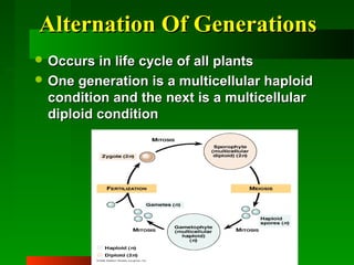 Plant biology | PPT