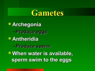 Plant biology | PPT