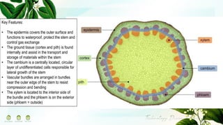Plant Biology.pdf