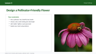 Plant_Biology_Unit_Slides for 5th to 6th graders.pptx
