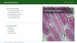 Plant_Biology_Unit_Slides for 5th to 6th graders.pptx