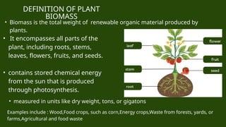 Plant Biomass Applications Bioenergy & Value-Added Products.pptx