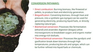 Plant Biomass Applications Bioenergy & Value-Added Products.pptx