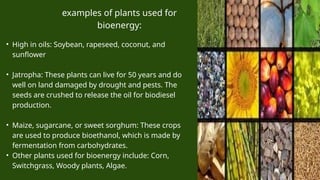 Plant Biomass Applications Bioenergy & Value-Added Products.pptx