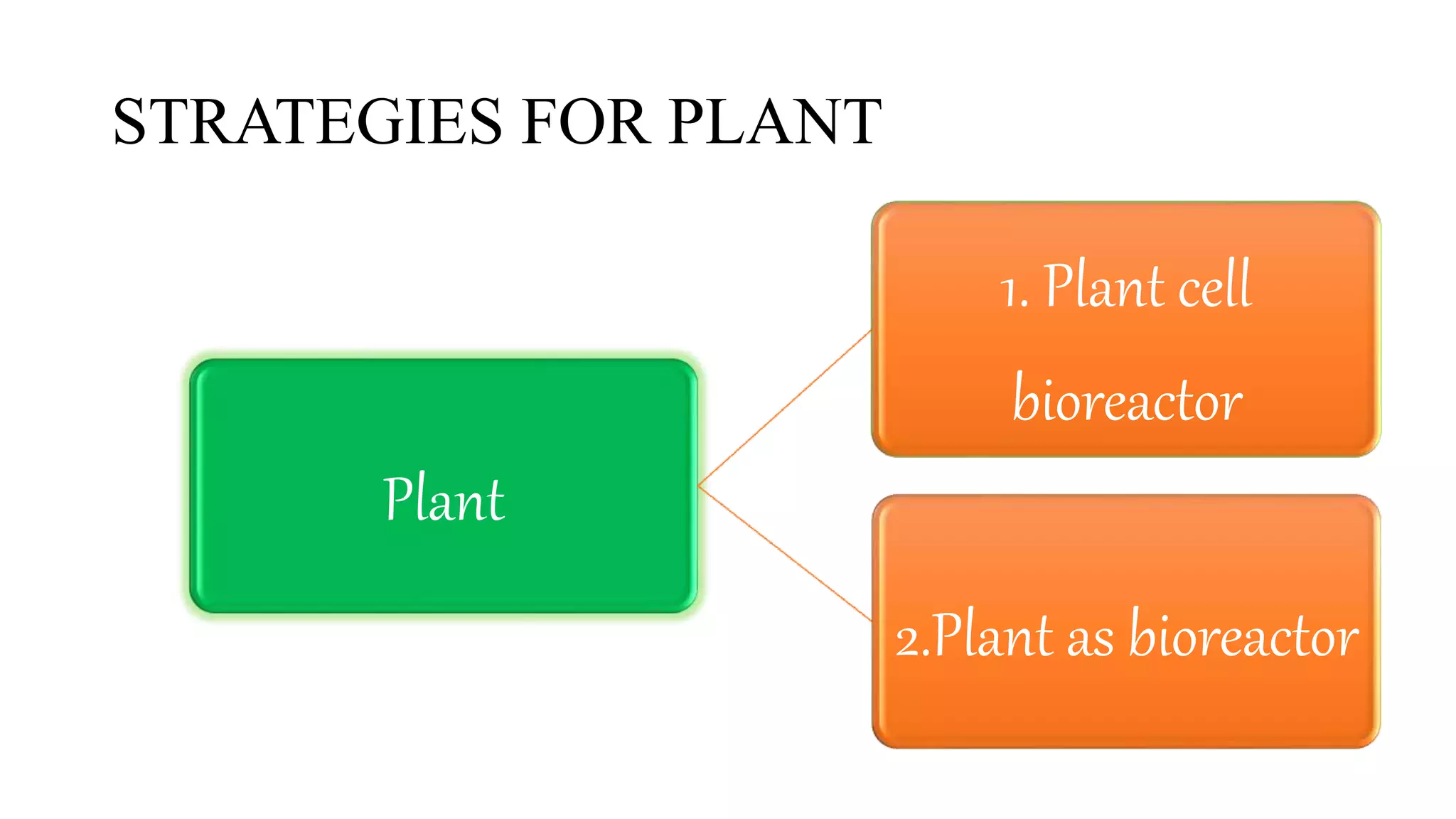Plant bioreactor | PPTX