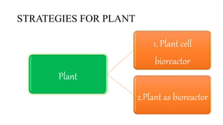 Plant bioreactor | PPTX