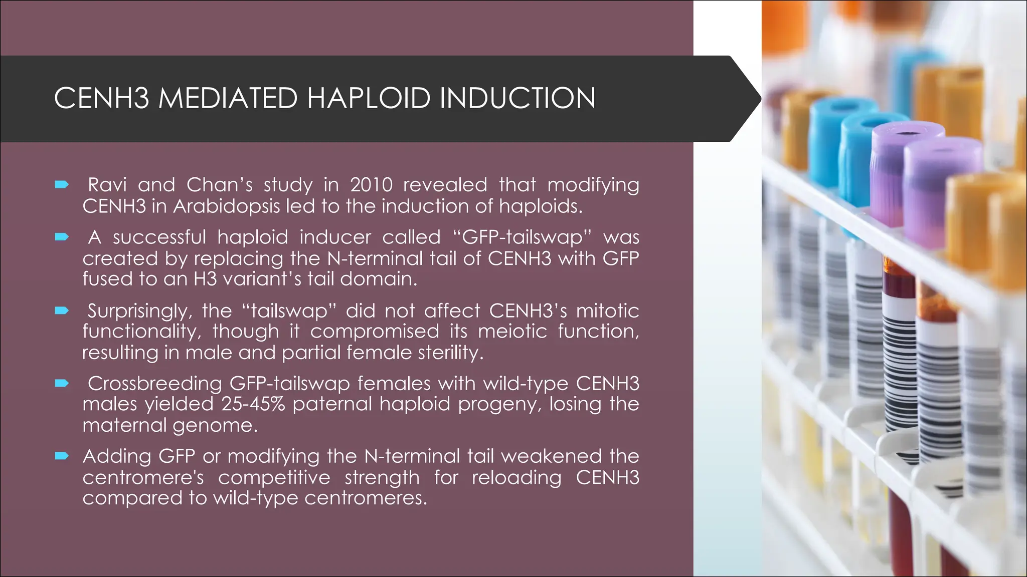 CenH3: in haploid induction technology | PDF