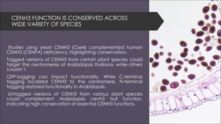 CenH3: in haploid induction technology | PDF