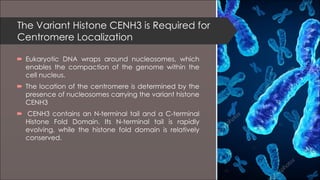 CenH3: in haploid induction technology | PDF